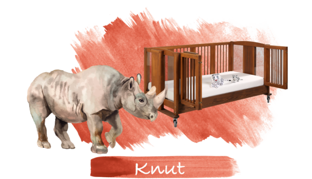 Our Knut (b) 40-Edition children's care bed
